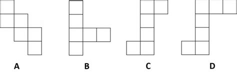 Nets Revision Practice Questions Pass Functional Skills