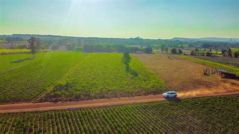 Neta X Thailand พูดคุย ปรึกษา ซื้อ ขาย