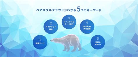 物理と仮想のハイブリッド リンクベアメタルクラウド