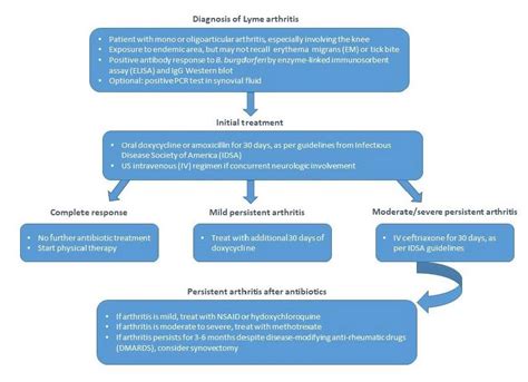 Lyme Disease Symptoms And Treatment Metagenics Institute