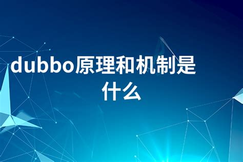 Dubbo原理和机制是什么 选型指导 万商云集