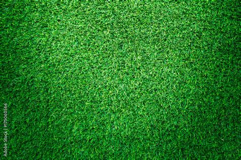 Golf Course Grass Texture