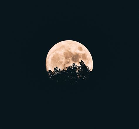 Moon And Tree Wallpapers Top Free Moon And Tree Backgrounds WallpaperAccess