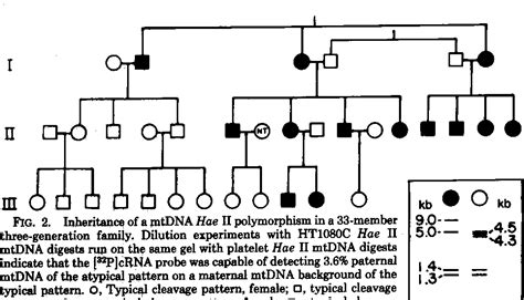 Maternal Inheritance Semantic Scholar Maternal Inheritance Semantic Scholar
