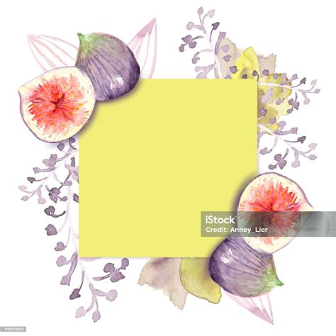 파스텔 노란 사각형 카드 수채화 무화과와 꽃 요소 텍스트 위한 공간 장식 0명에 대한 스톡 벡터 아트 및 기타 이미지 0명 계절 과일 Istock