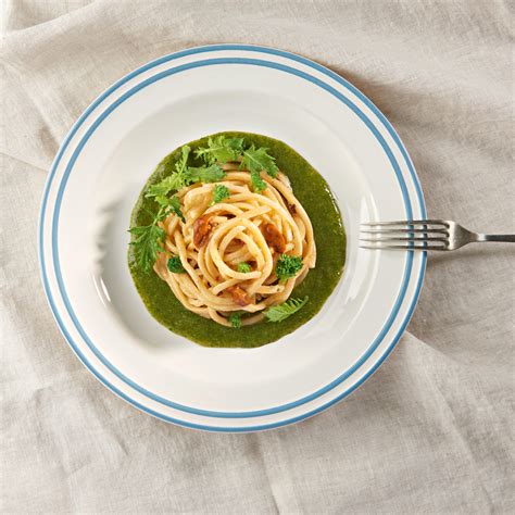 Troccoli The True Apulians Surgital