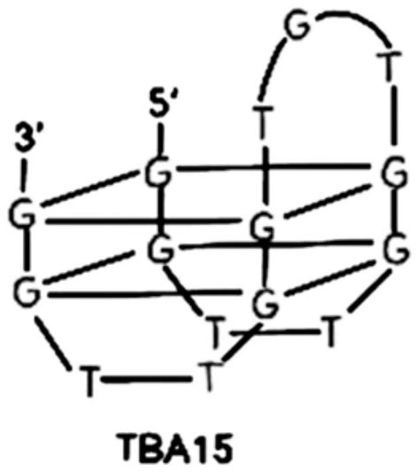 Thrombin Electrochemical Sensor Based On Multi Binding Site Aptamer
