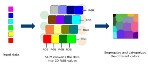 Self Organizing Maps Soms Download Scientific Diagram