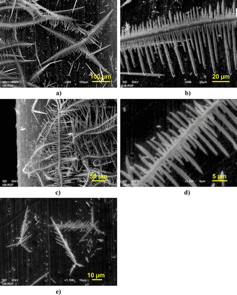 The Fern Like Sn Dendrites Produced By A Potentiostatic Regime Of