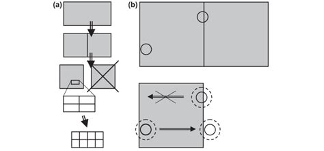 Scheme Of The Halving Of The Cellular Space A And Boundary Conditions
