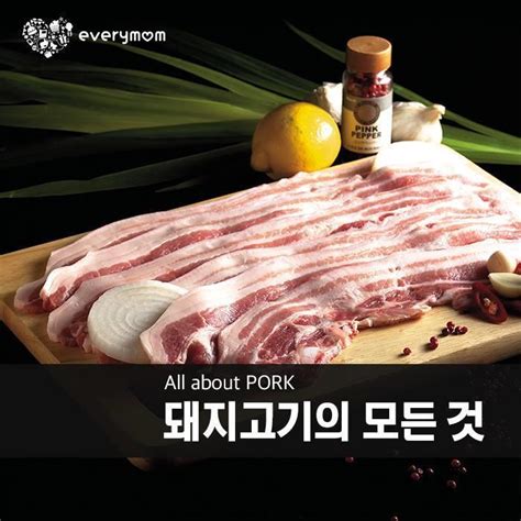 돼지고기의 모든 것 인스티즈instiz 이슈 카테고리