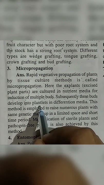 Short Note On Micropropagation Class 12 Biology Youtube