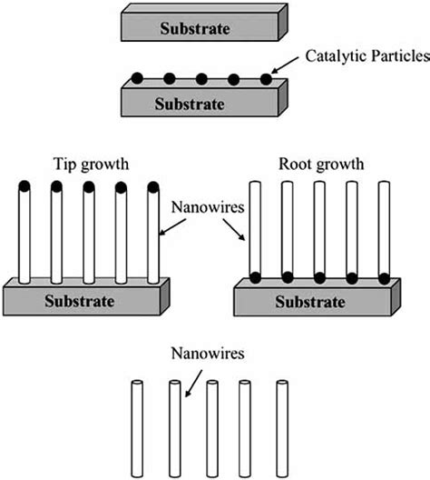 Schematic Illustration Of A Typical Nanowire Synthesis Process Using A Download Scientific
