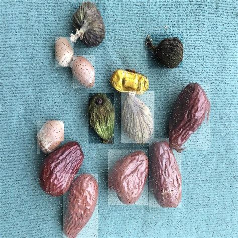 Mytsak1 Object Detection Dataset And Pre Trained Model By Tuke