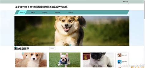 基于spring Boot的同城宠物照看系统与实现源码lw调试讲解 Csdn博客