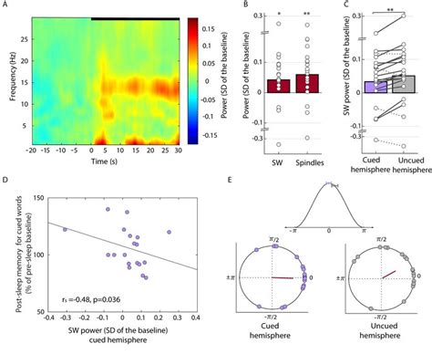 Eeg Effects Of Unilateral Odor Cueing During Sleep A Time Frequency Download Scientific