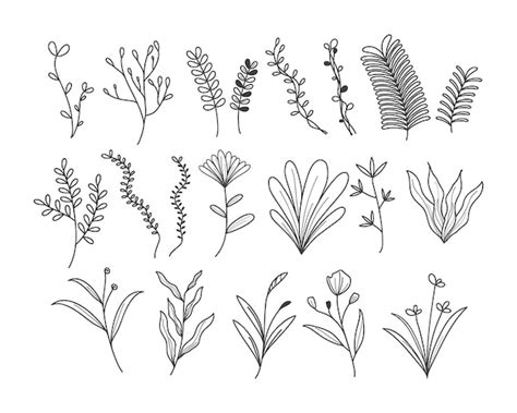 Premium Vector Botanical Flower Line Art
