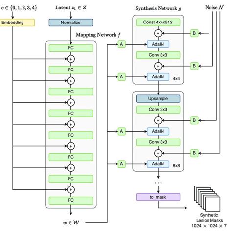 Architecture Of Conditional Stylegan Generator To Generate Synthetic Download Scientific