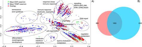 semantic similarity clustering of up regulated statistically download scientific diagram