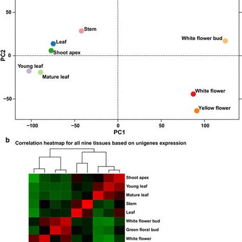 Transcriptome Expression Analysis Across Nine Tissue Of L Japonica A