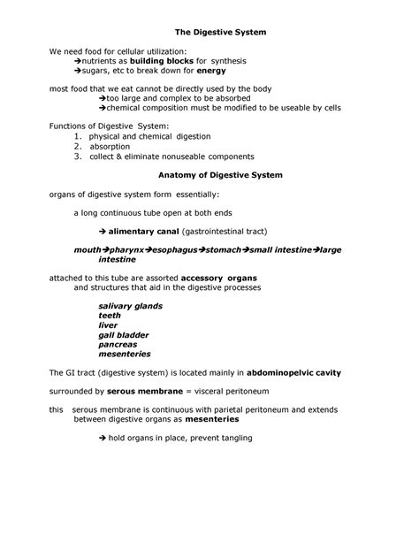 Digestive Sytem Lecture The Digestive System We Need Food For Cellular Utilization
