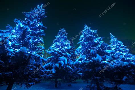 Snow Covered Christmas Tree Lights In A Winter Forest By Night Stock Photo By Maynagashev 63476329