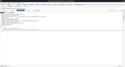 Horizontall Images Only Wayhandshake Ctf Walkthroughs Tips