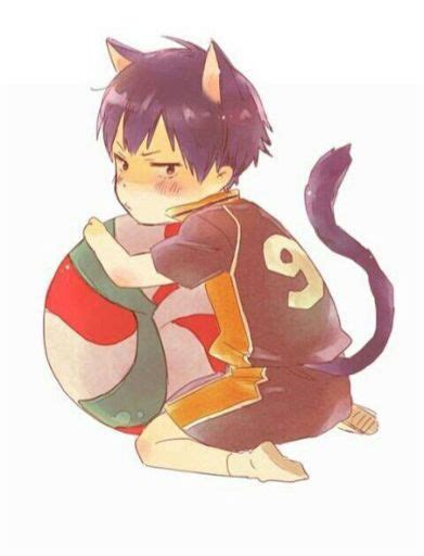 Blueberry Anime Amino