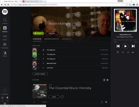 How To Get Small Spotify Player Vserescue