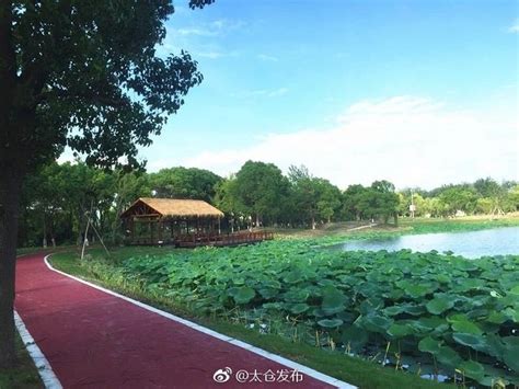 最新进展崭新的西庐园要来啦小伙伴们一起期待吧