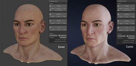 Blender Review — Anatomic Head Anatomy 3d Cheat Sheet [ ] Blendernation