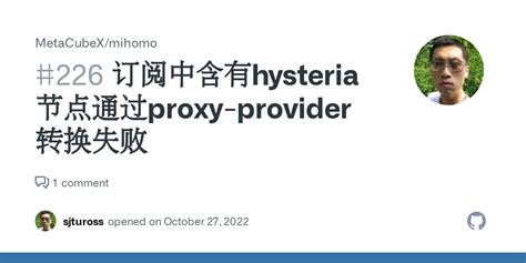 订阅中含有hysteria节点通过proxy provider转换失败 · issue 226 · metacubex mihomo