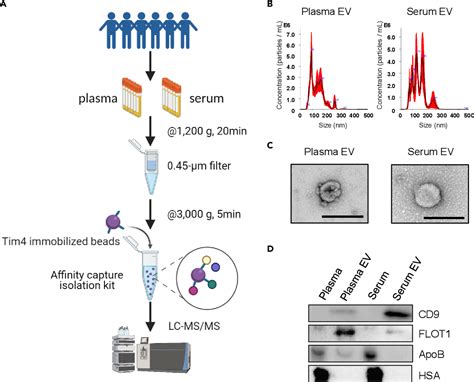Figure 1 From Comprehensive Proteomic Profiling Of Plasma And Serum