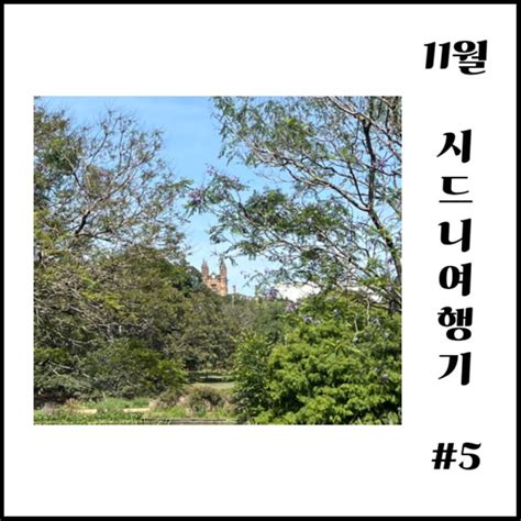 11월 시드니 여행기 5 웬트워스 공원 시드니대학교 빅토리아공원 피셔스마켓 네이버 블로그