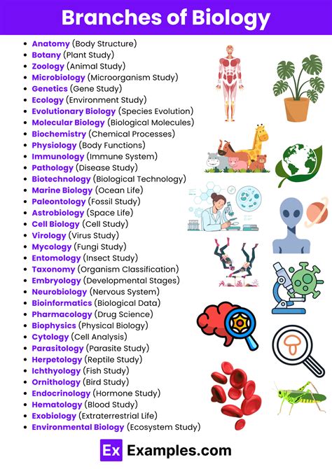 Biology Definition History Concepts Branches Facts Biogeography