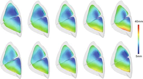 Visualizations Of Deformation Variations Corresponding To The First Two