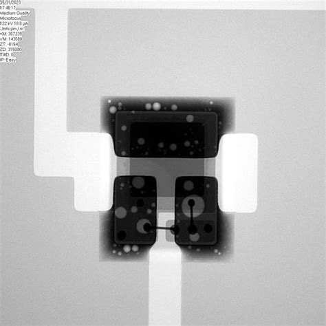 Yolo3 Instance Segmentation Dataset And Pre Trained Model By Helen Wael