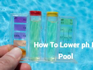 Expert Review Best Pool Clarifiers And Their Pros Cons ByRossi