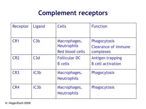 Ppt Complement Powerpoint Presentation Free Download Id 740256