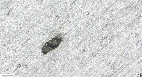 Troilite Daubreelite Nodules