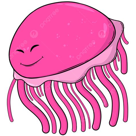 รูปคลิปอาร์ตแมงกะพรุน Png แมงกระพรุน การ์ตูนแมงกะพรุน ภาพประกอบแมงกะพรุนภาพ Png และ Psd