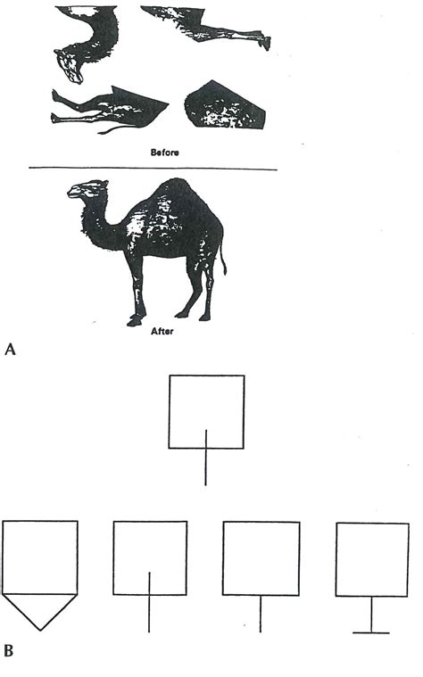 A Schematic Representation Of The Object Assembly Task
