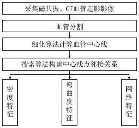 Cerebrovascular Morphological Characteristic Quantitative Analysis