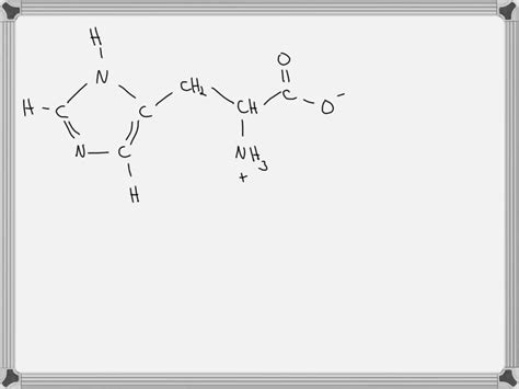 Solved Draw The Most Predominant Form Of Histidine At Its Isoelectric Point