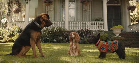 Everything You Need To Know About Lady And The Tramp Movie 2019