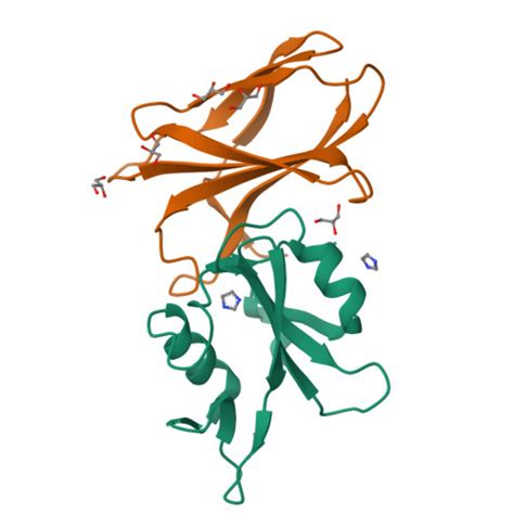 Rcsb Pdb 5dc9 Crystal Structure Of Monobody As25abl1 Sh2 Domain
