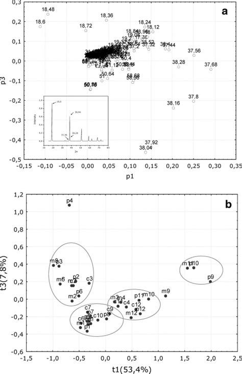 A Loading Plot Representing The Contribution Of The Original