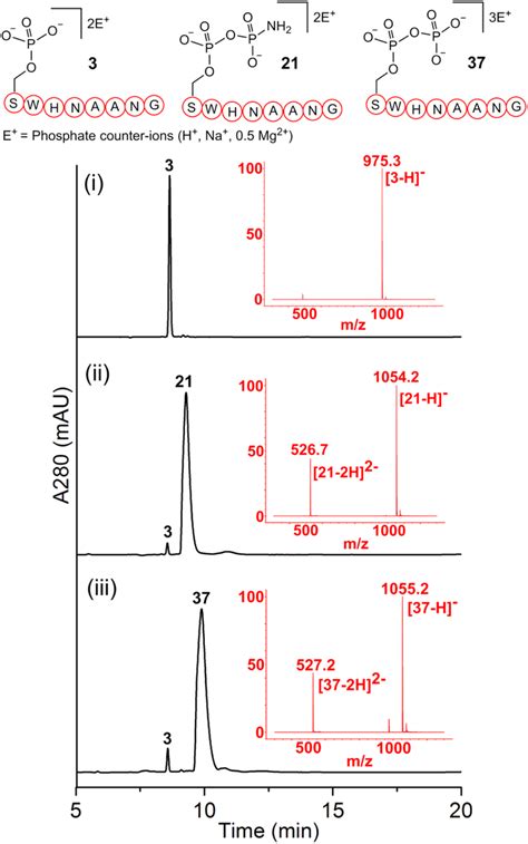 Crude Lc Ms Chromatograms Of Reaction Mixtures Confirming The Formation