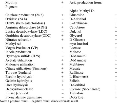 Enterobacter Aerogenes