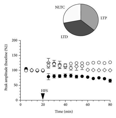 Long Term Alterations In Corticostriatal Neurotransmission After Download Scientific Diagram